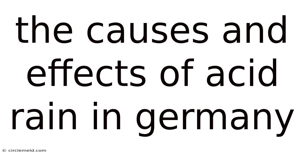 The Causes And Effects Of Acid Rain In Germany